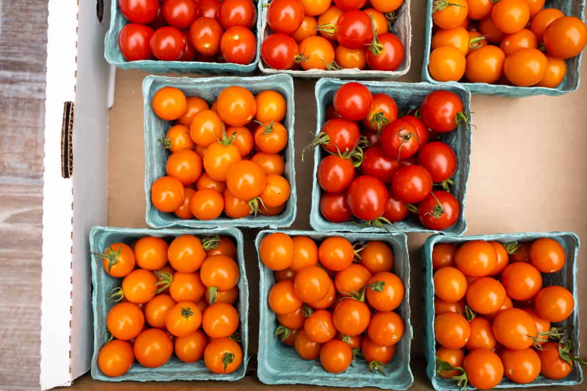 Roasted Cherry Tomato Pasta Recipe For Two | Our Table 4 2