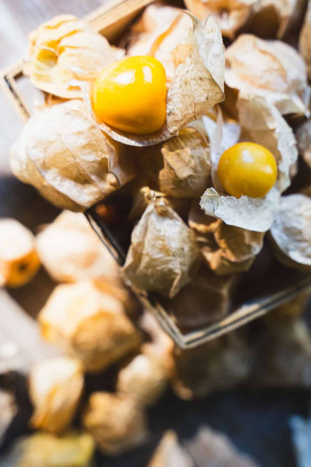 Ground Cherries: A guide to buying and eating | Our Table 4 2
