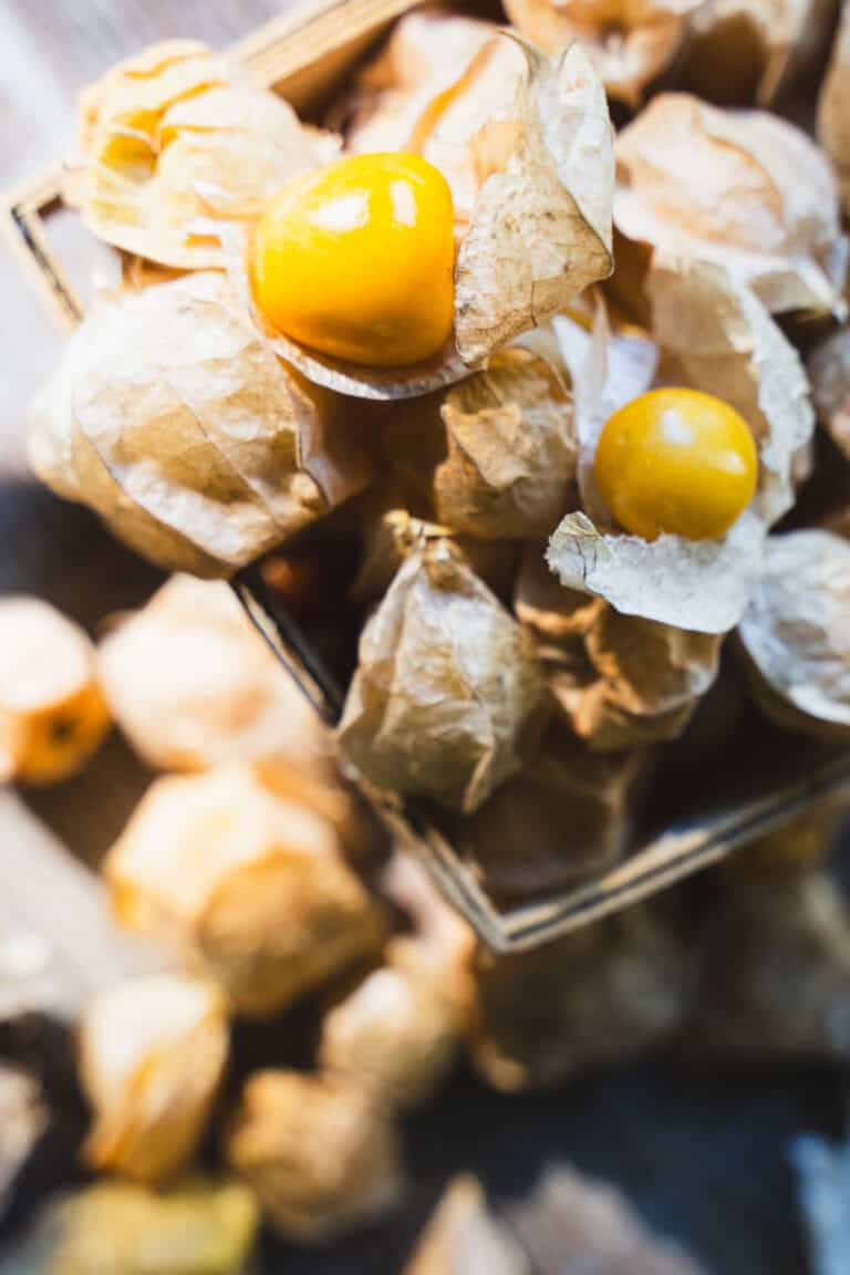 Ground Cherries: A guide to buying and eating | Our Table 4 2