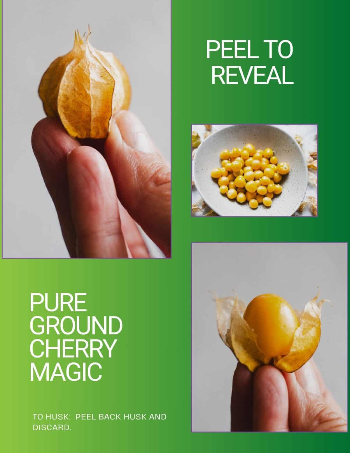Ground Cherries: A guide to buying and eating | Our Table 4•2 by Pam Werley